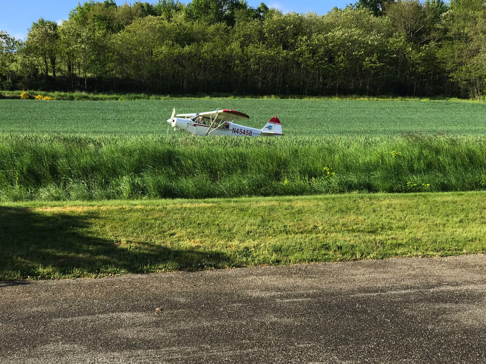 Events & Videos – Lady Bush Pilot